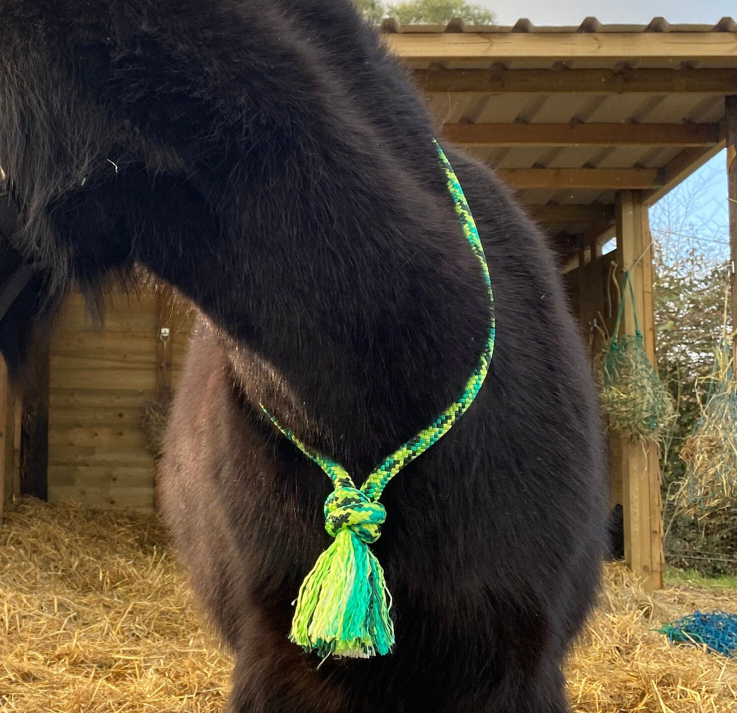 Neckrope Cordeo Liberty Neck Strap Tackless Riding Rope Handmade ...