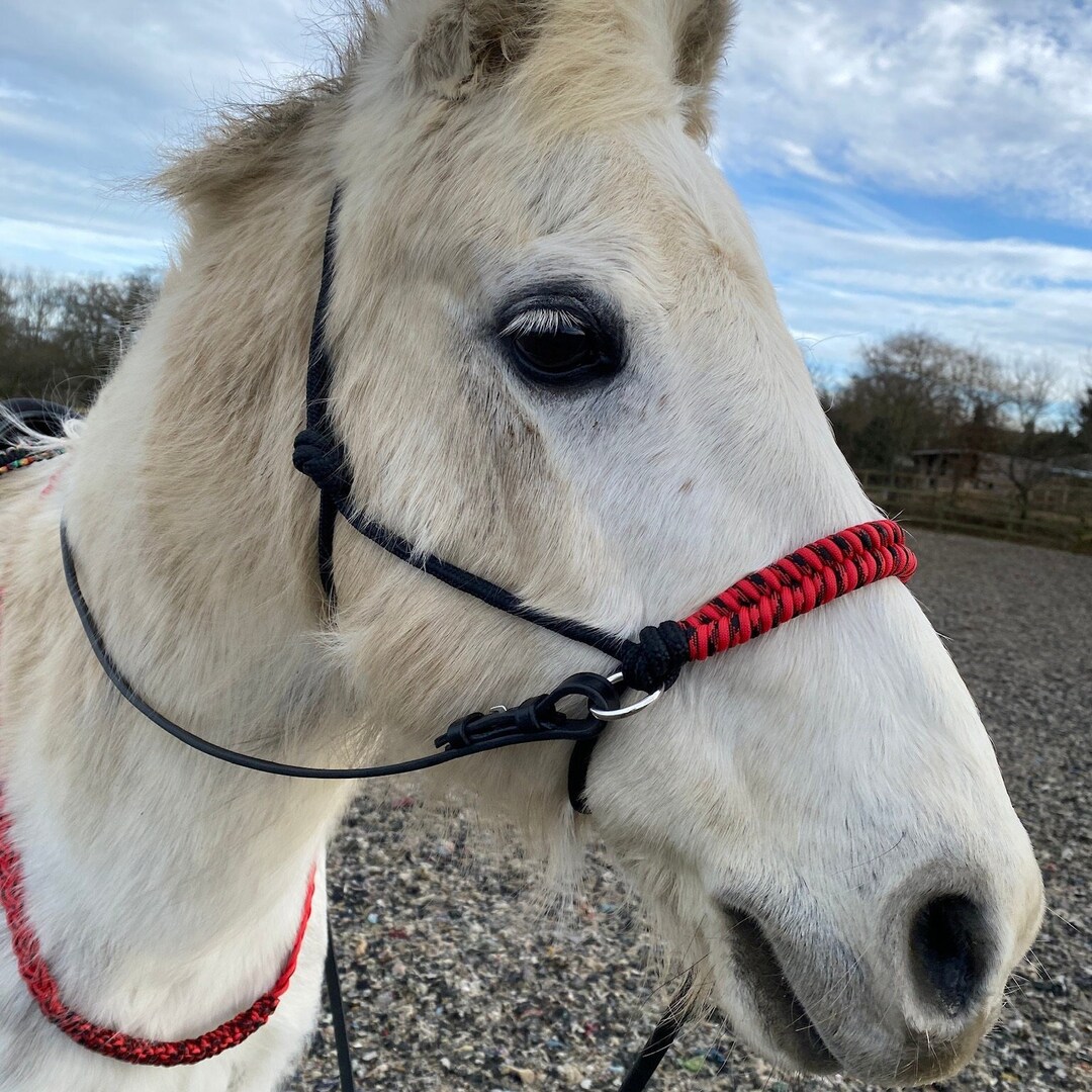 Riding Halter Bitless Bridle Soft Rope & Paracord Liberty Custom ...