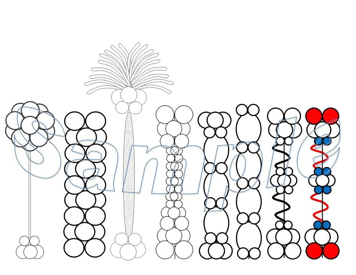 Seven Styles of Balloon Columns for Publisher or Photoshop - Etsy