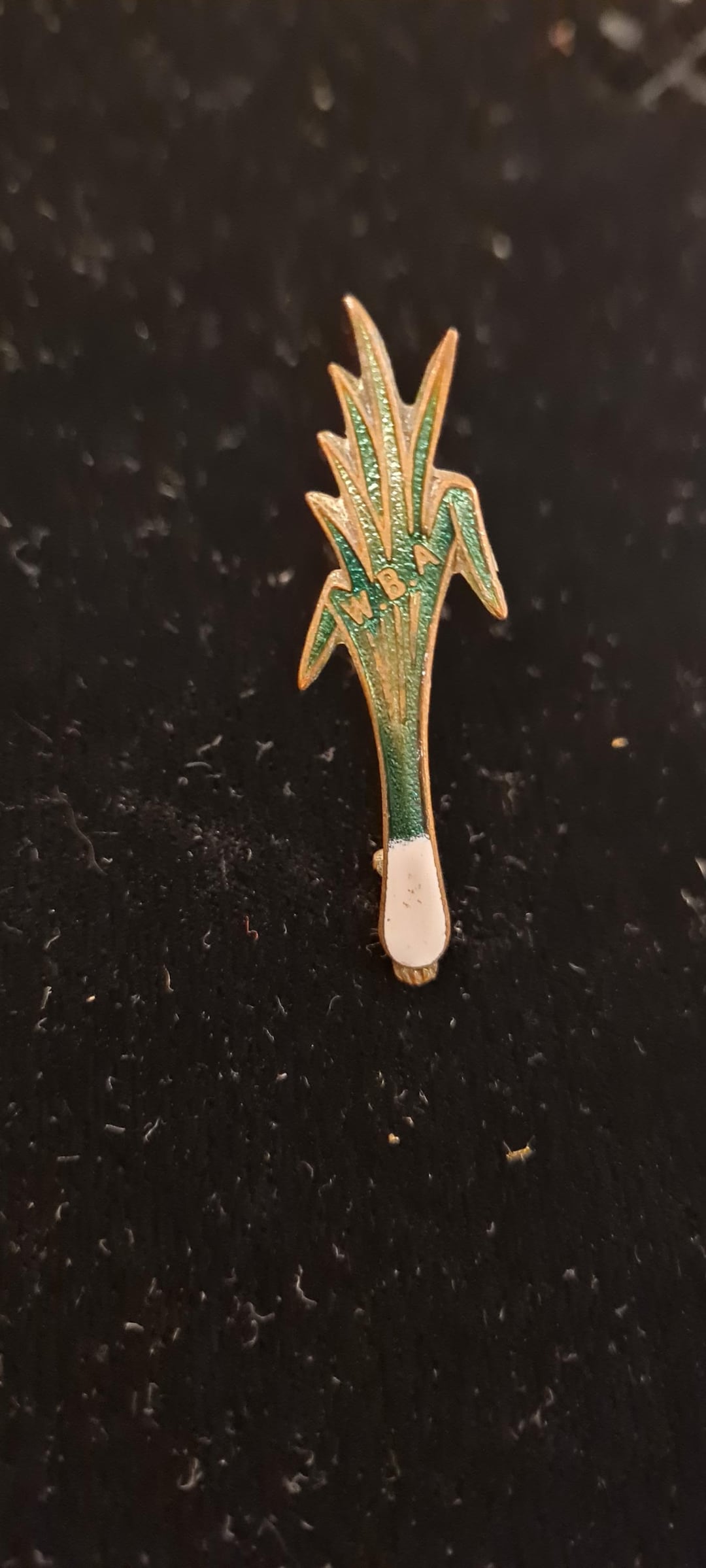 Vintage 1950s Welsh WBA Enamel Leek Pin Badge - Etsy