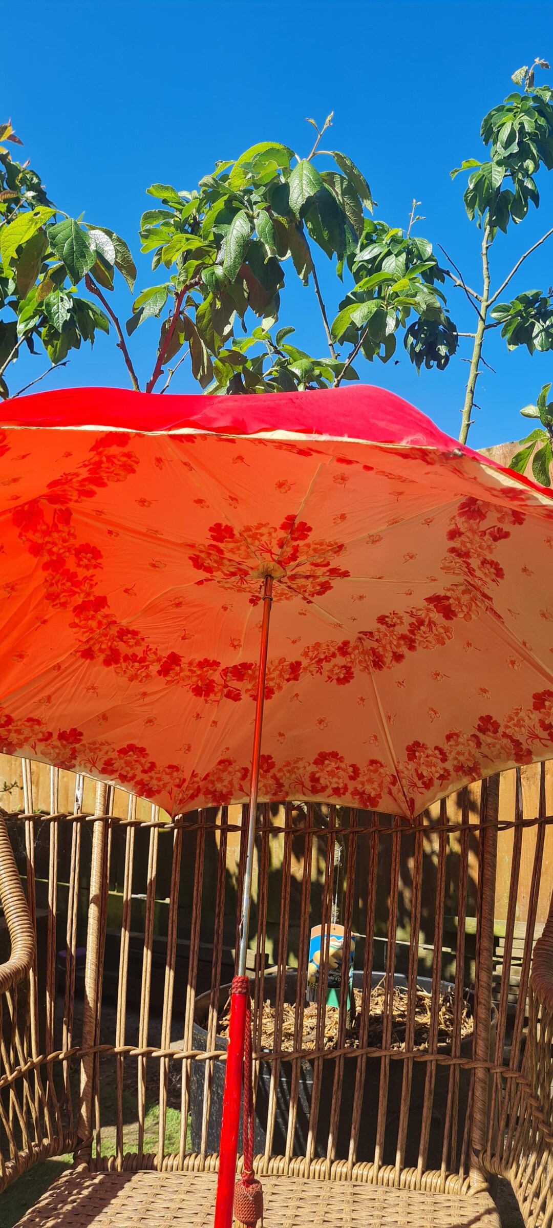 Vintage Red Double Canopy Parasol Umbrella, Floral Inner - Etsy