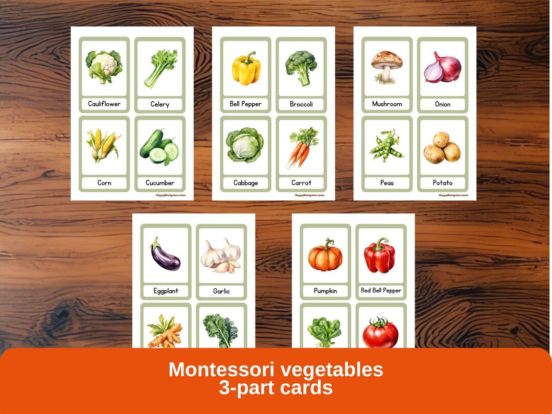 Montessori Vegetables 3 Part Cards - Etsy
