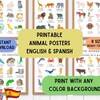 English Spanish Animal Languages Posters, Educational Decoration Poster ...