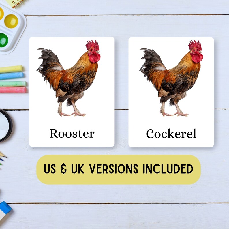 Birds Flashcards: Bilingual English French Montessori Learning ...