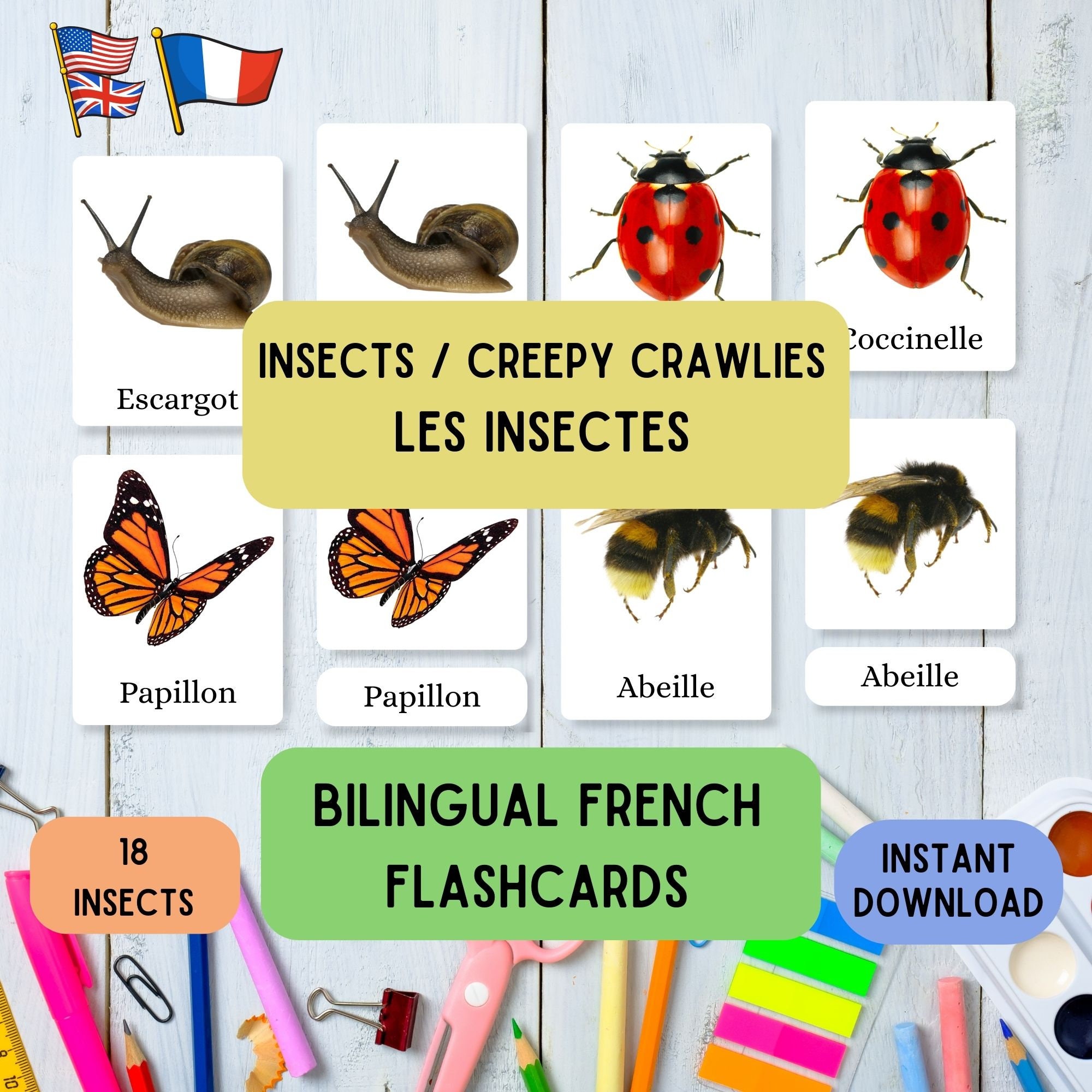 English French Printable Flashcards- Insects, Learn Montessori With 18 ...