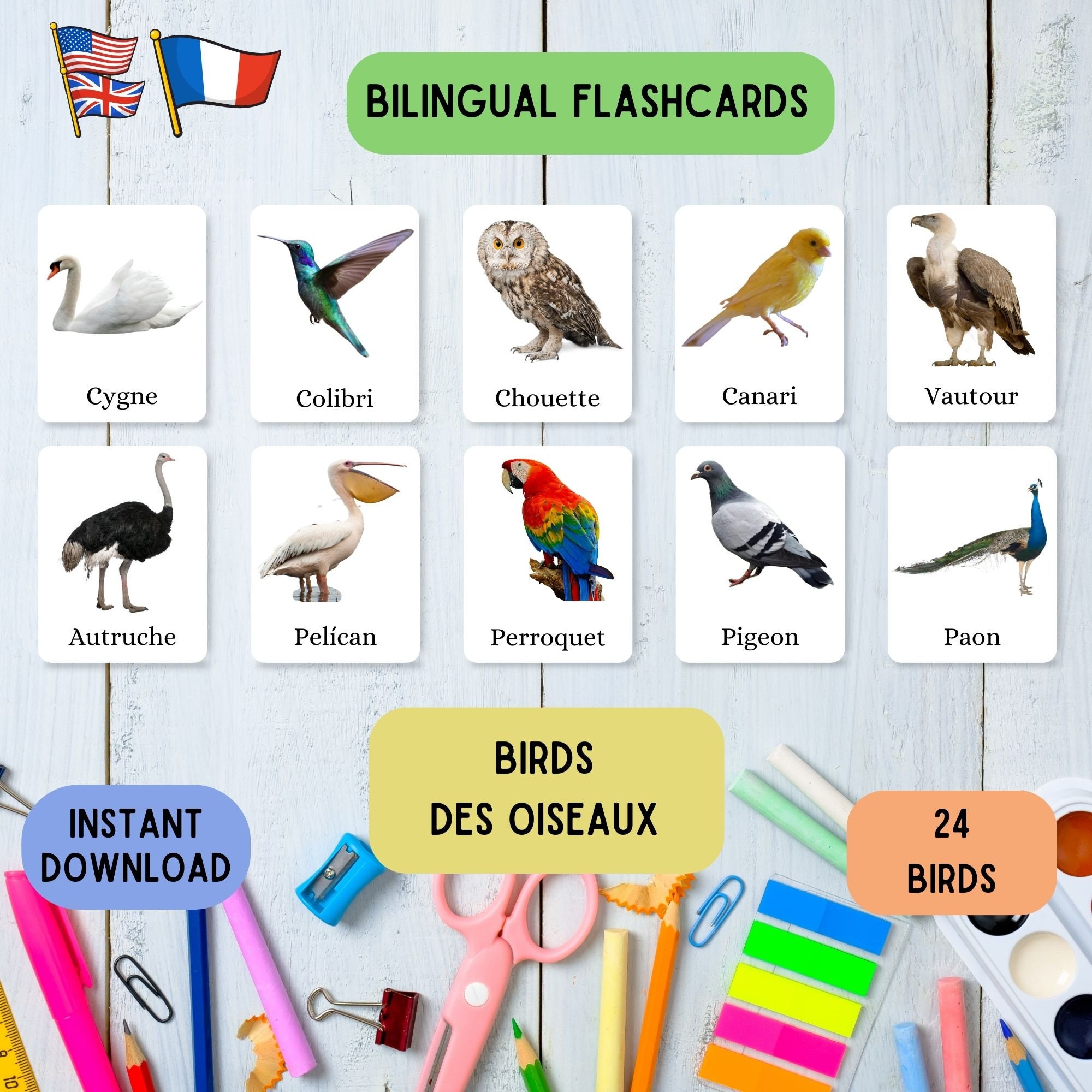 Birds Flashcards: Bilingual English French Montessori Learning ...