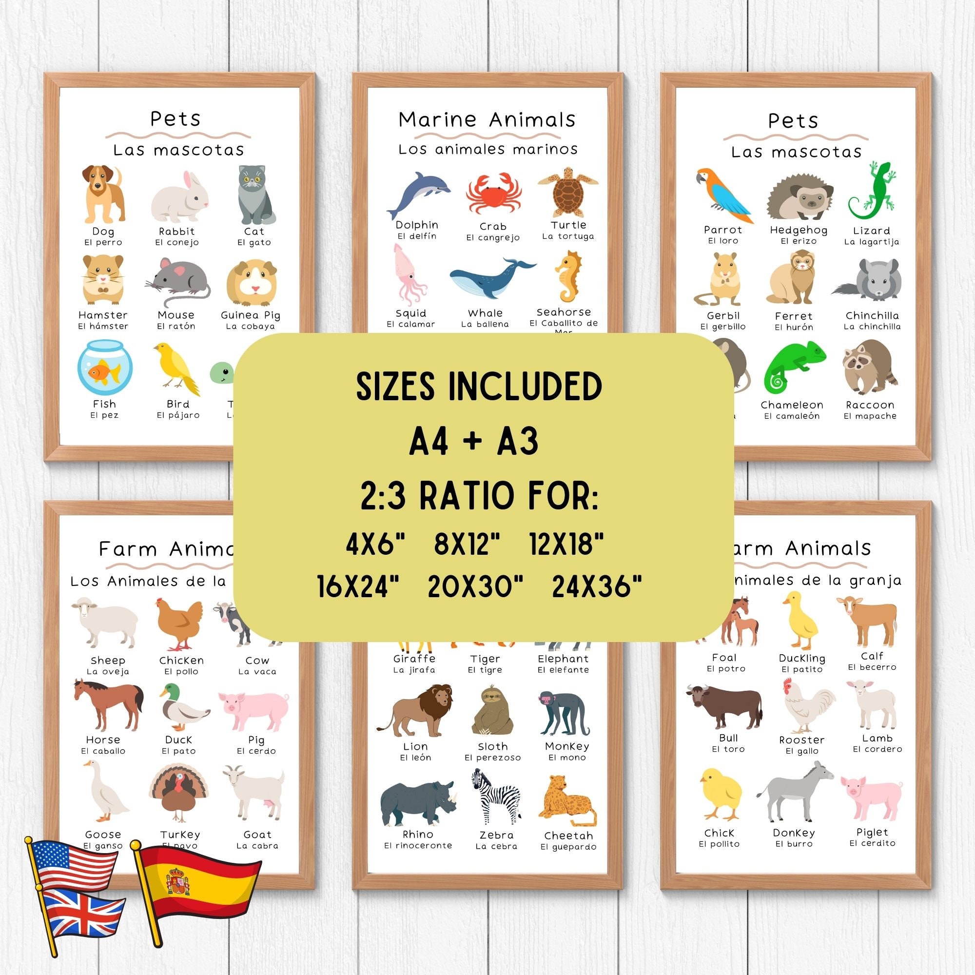 English Spanish Animal Languages Posters, Educational Decoration Poster ...
