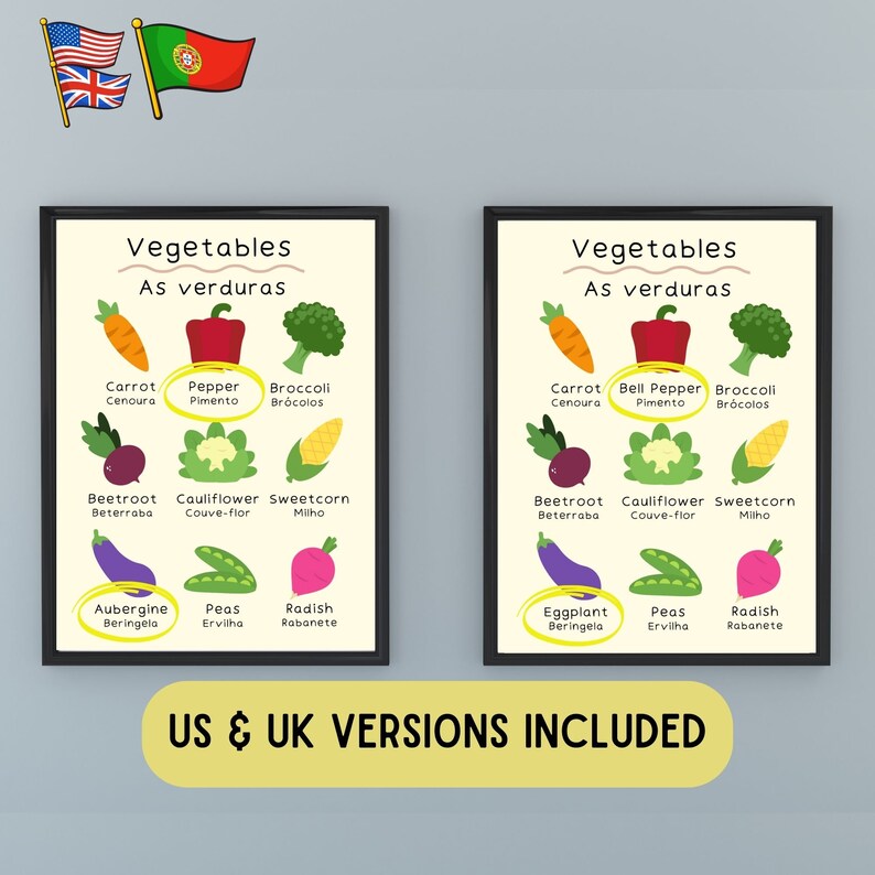 BRAZILIAN English Portuguese Educational Decoration Posters, Set of 20 ...