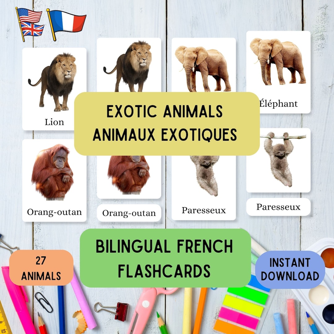 French English Flashcards: Exotic Animals, Montessori Learning ...