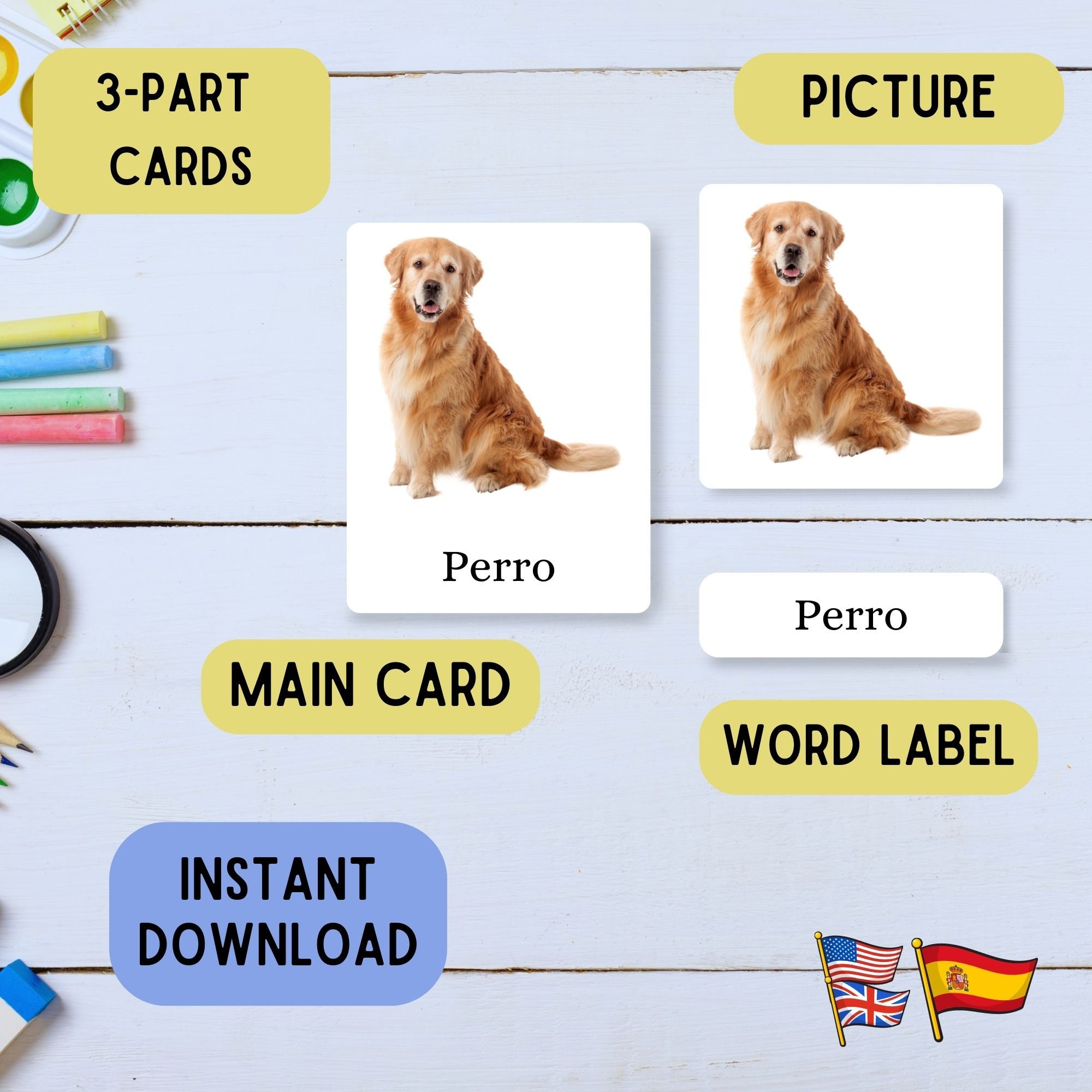 Spanish English Bilingual Flash Cards: Montessori Pets (PDF Download ...