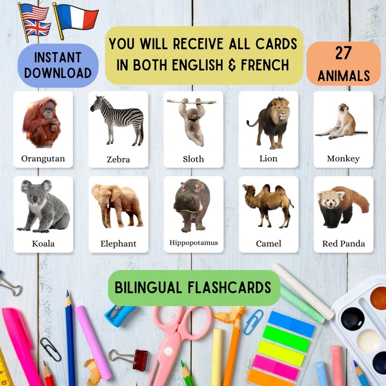 English French Educative Flashcards for Exotic Animals, Learn ...