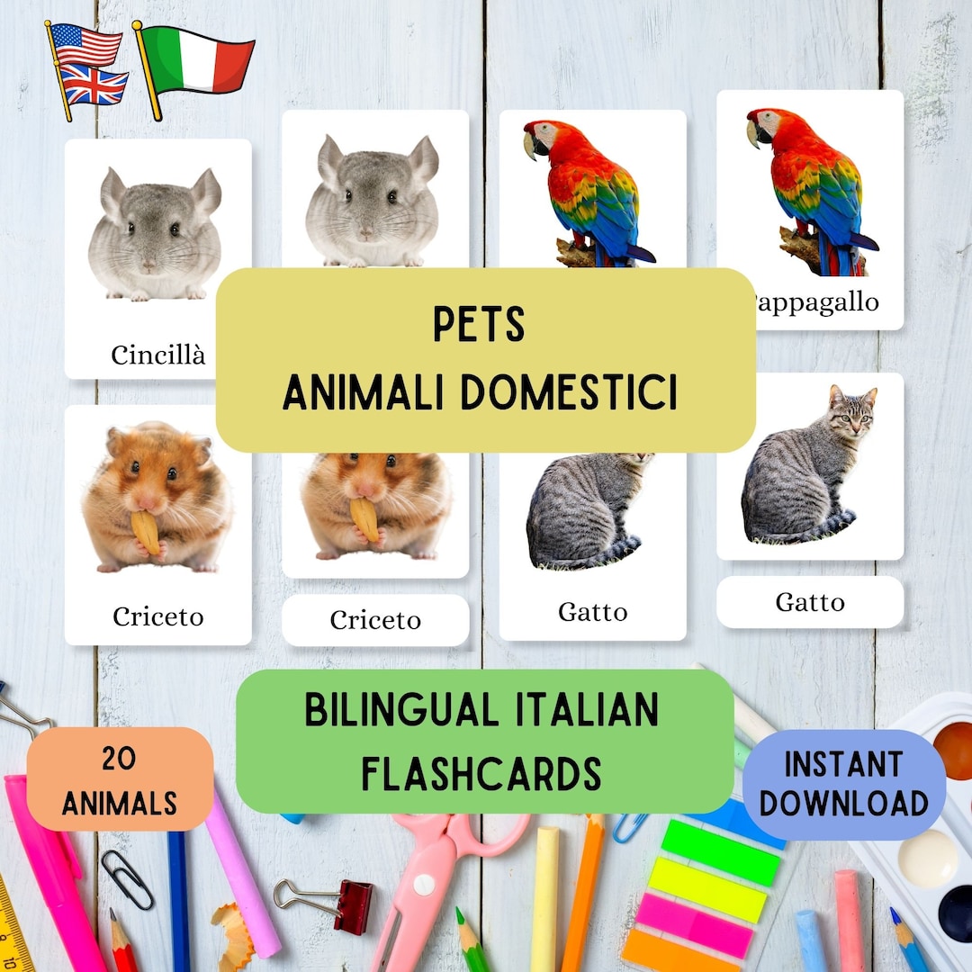 Bilingual Italian Flash Cards Pets, Learn Montessori With 20 Italian ...
