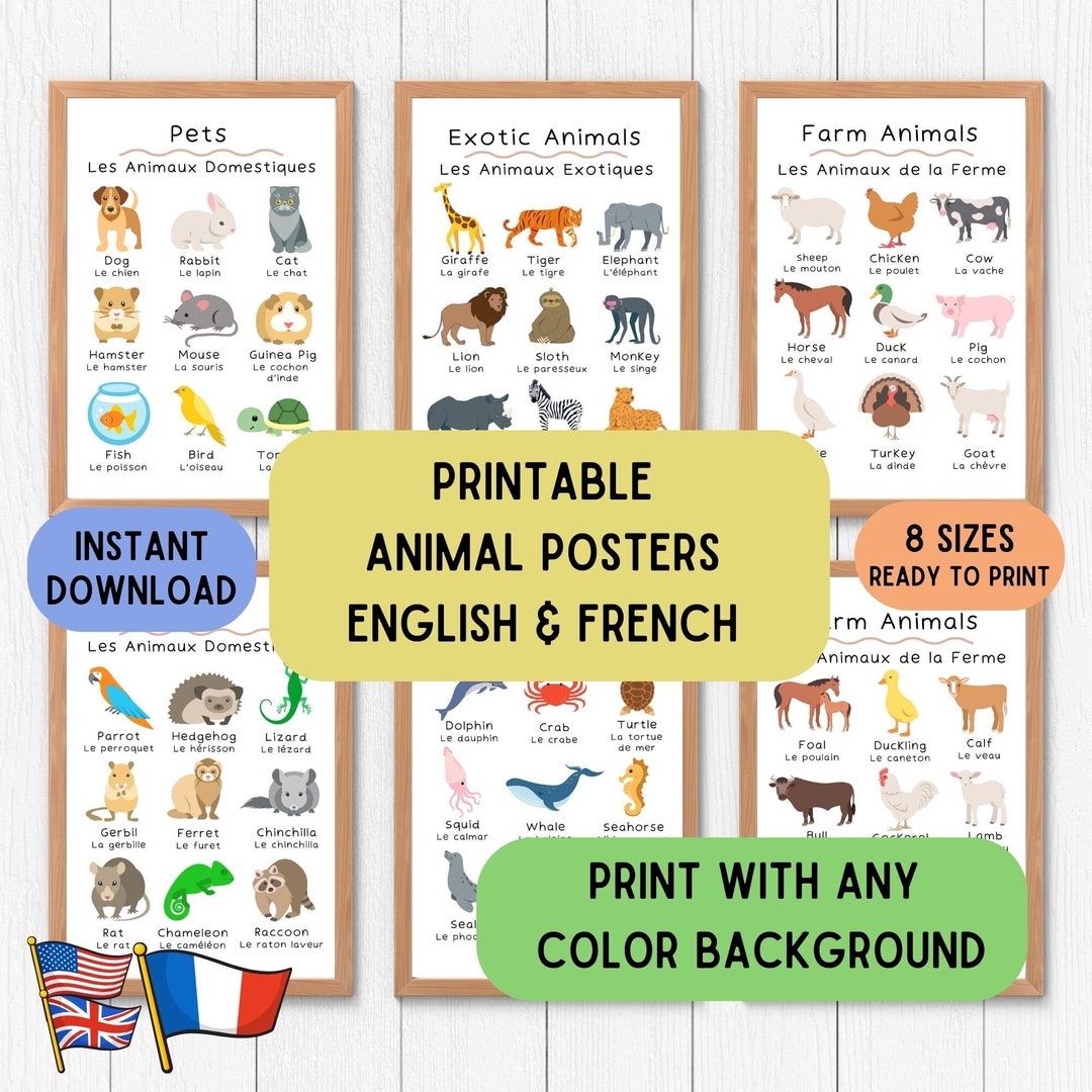Learn French Animal Languages Posters, Educational Decoration Poster ...