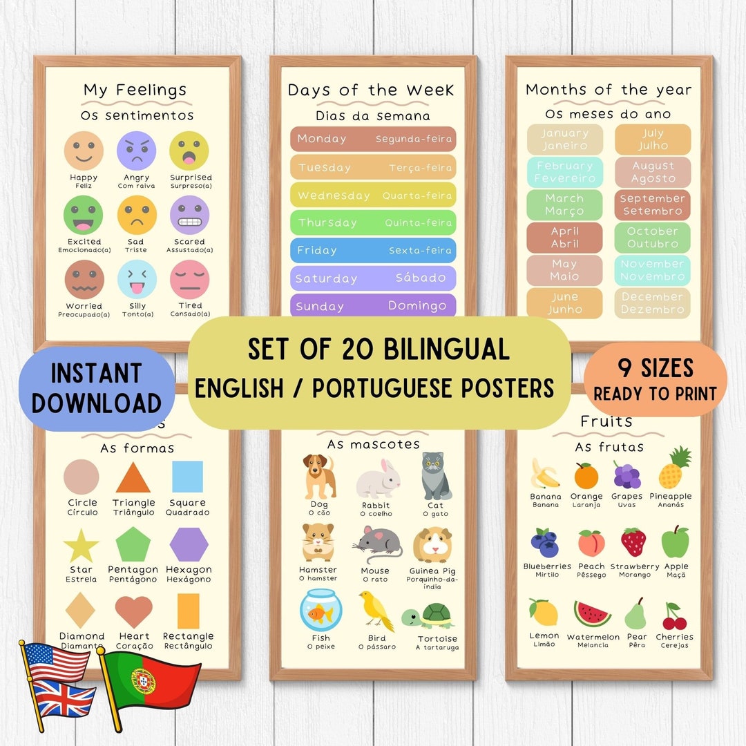 English Portuguese Educational Decoration Posters, Set of 20 Educative ...