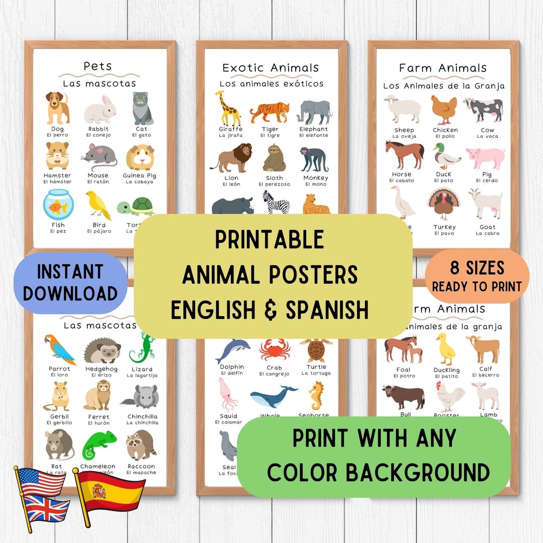 English Spanish Animal Languages Posters, Educational Decoration Poster ...