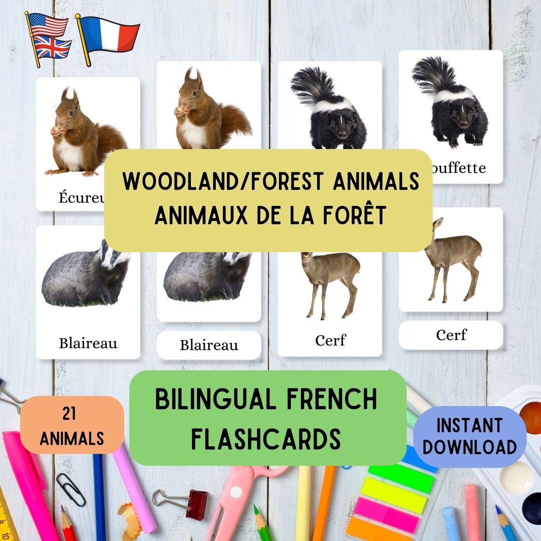 English French Printable Flashcards - Woodland Animals, Learn ...