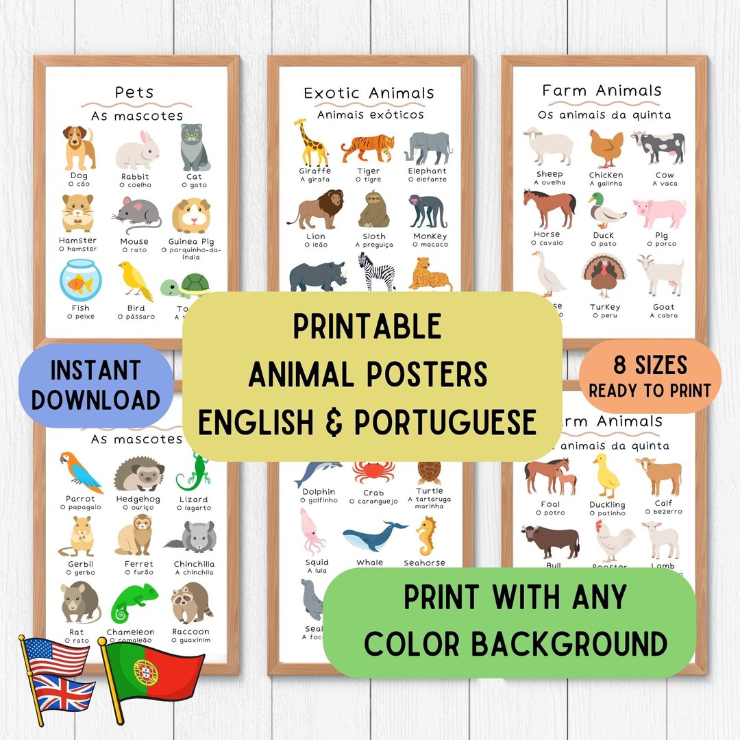 Bilingual Portuguese English Animal Posters, Set of 20 Educative ...