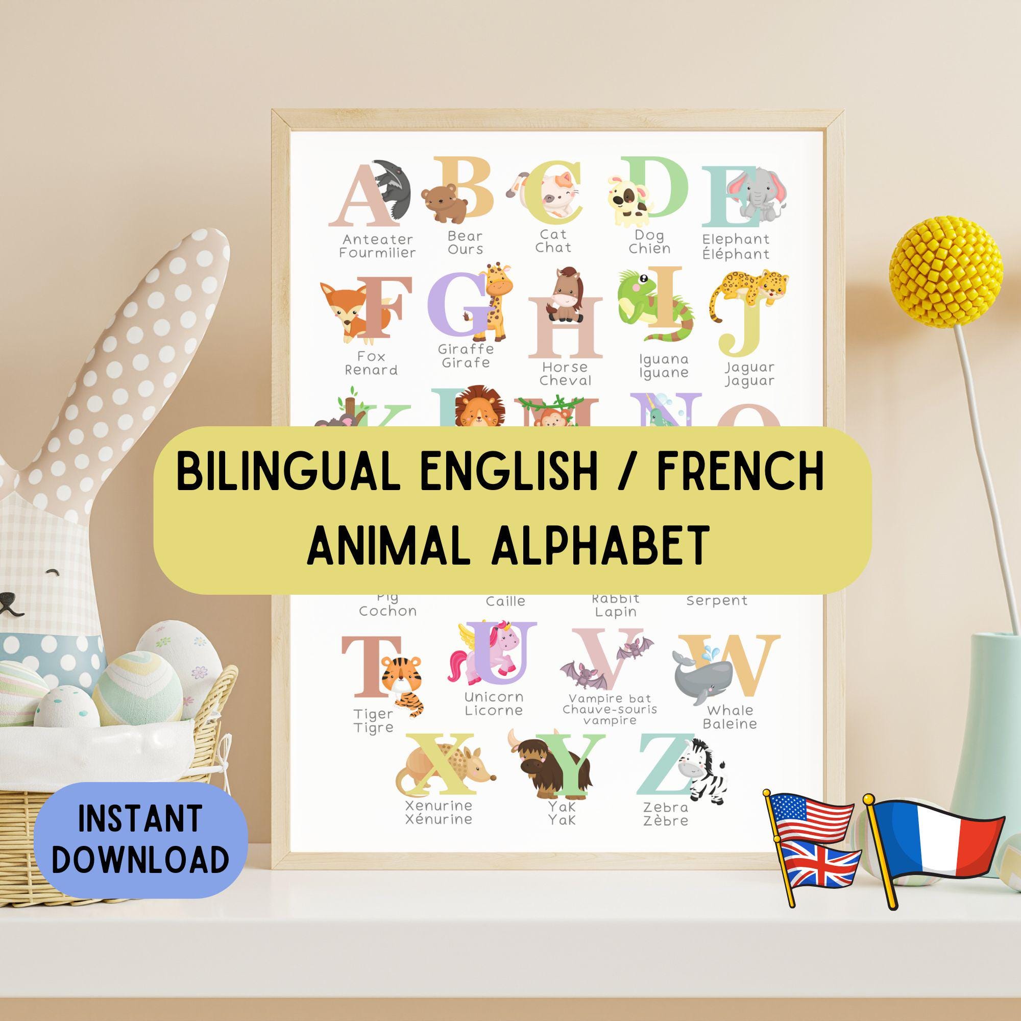 English French Alphabet Poster, Educational Decoration Poster, Alphabet ...