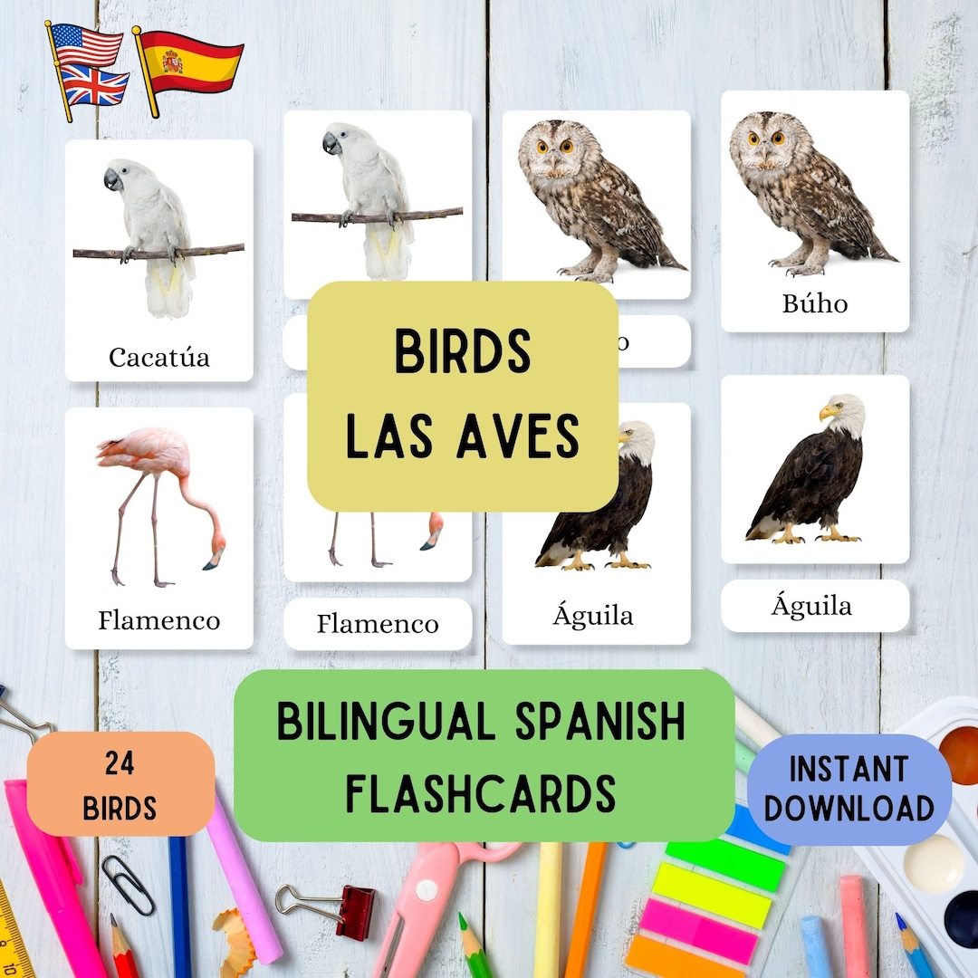 Bilingual Spanish Flash Cards Birds, Learn Montessori With 24 Spanish ...