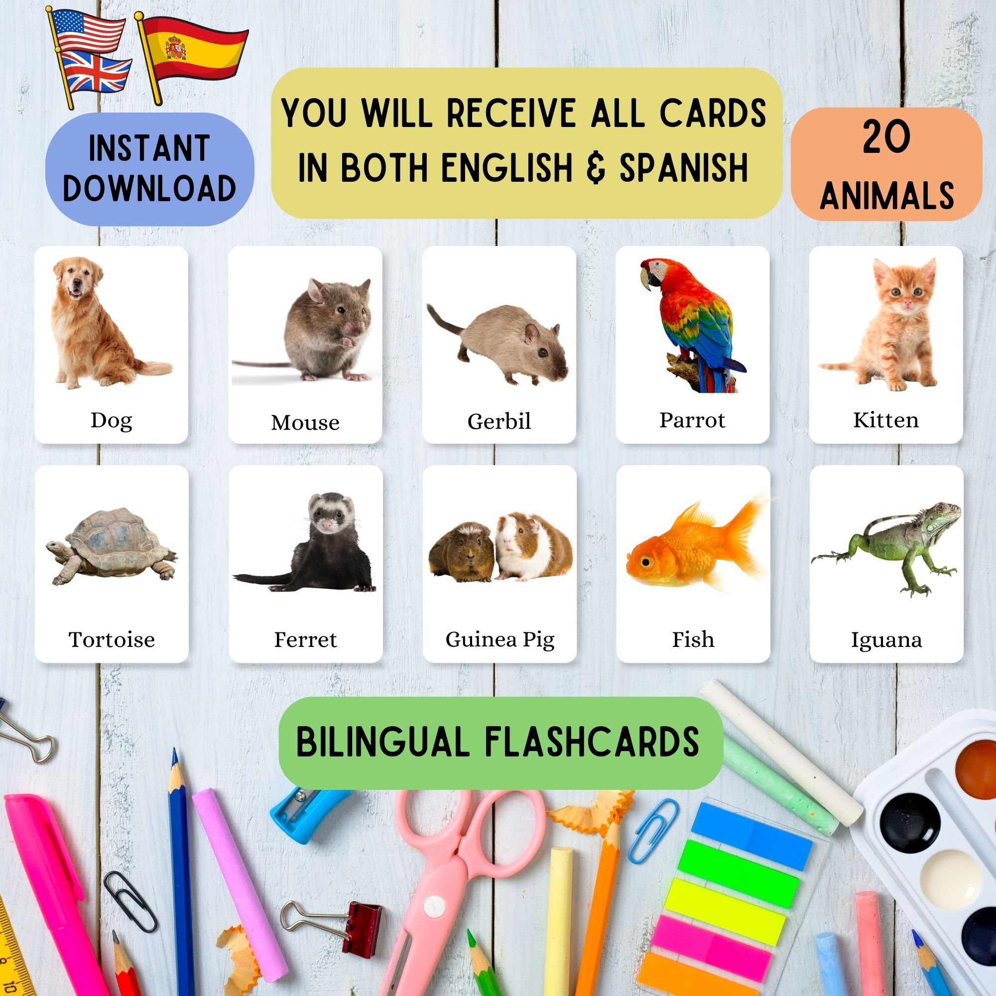 Spanish English Bilingual Flash Cards: Montessori Pets (PDF Download ...