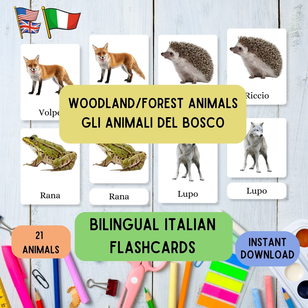 Italian Language Flashcards Forest Animals, Learn Montessori With 21 ...