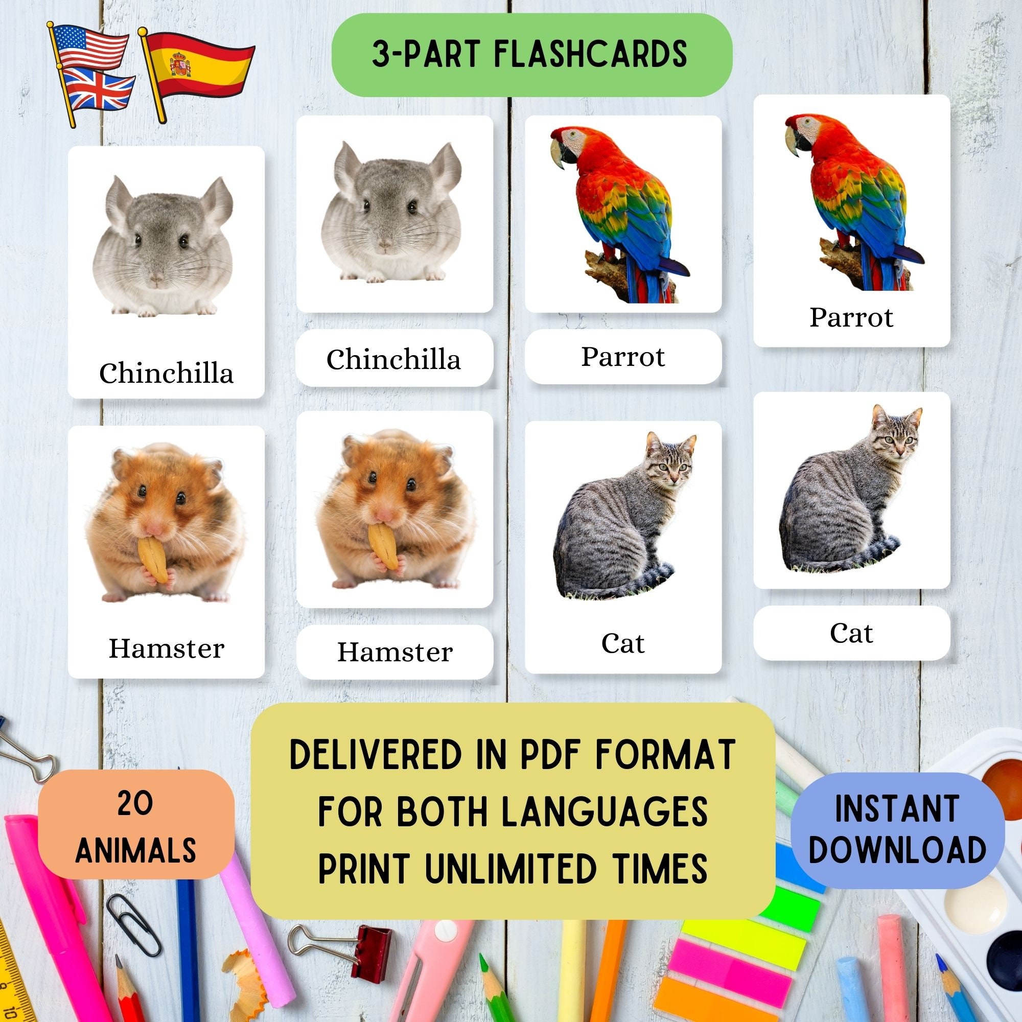 Spanish English Bilingual Flash Cards: Montessori Pets (PDF Download ...