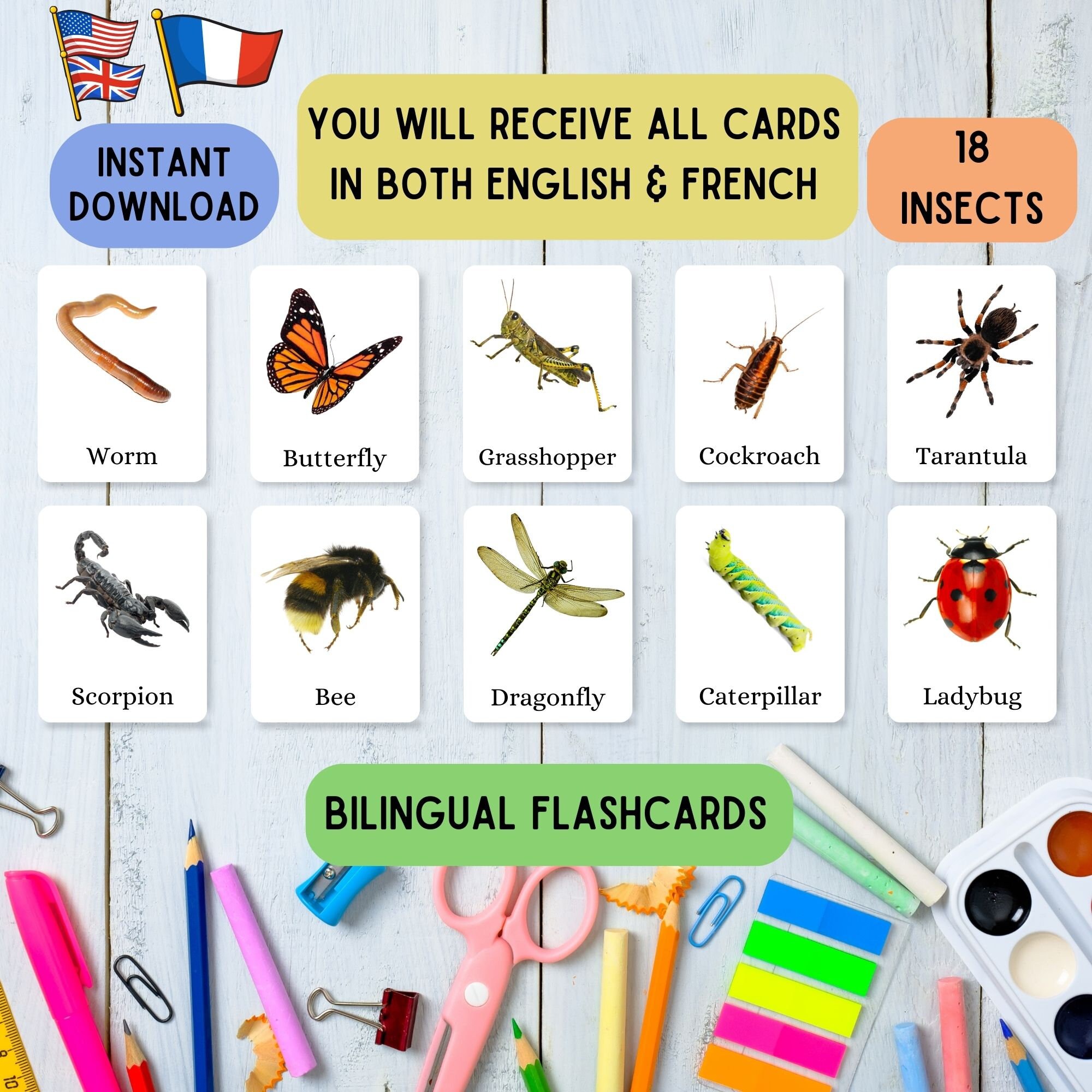 English French Printable Flashcards Insects, Learn Montessori With 18 ...