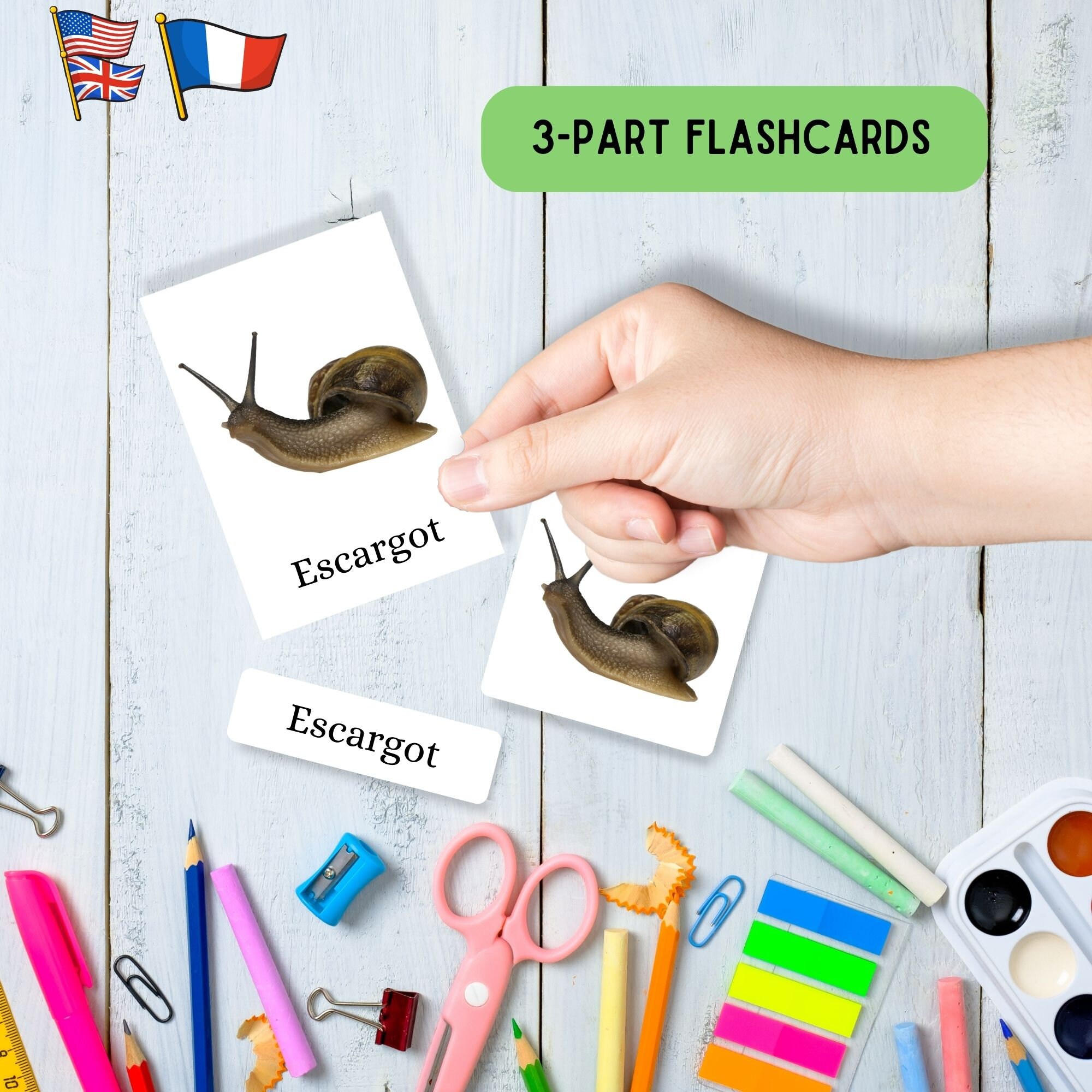 English French Printable Flashcards Insects Learn Montessori - Etsy