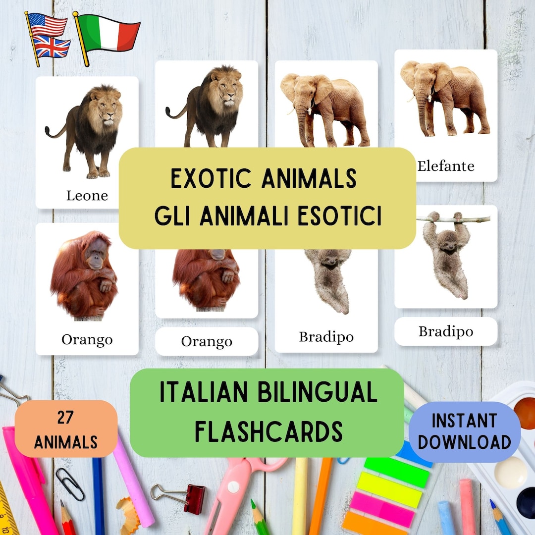 Italian English Flashcards: Exotic Animals Montessori Learning (digital ...