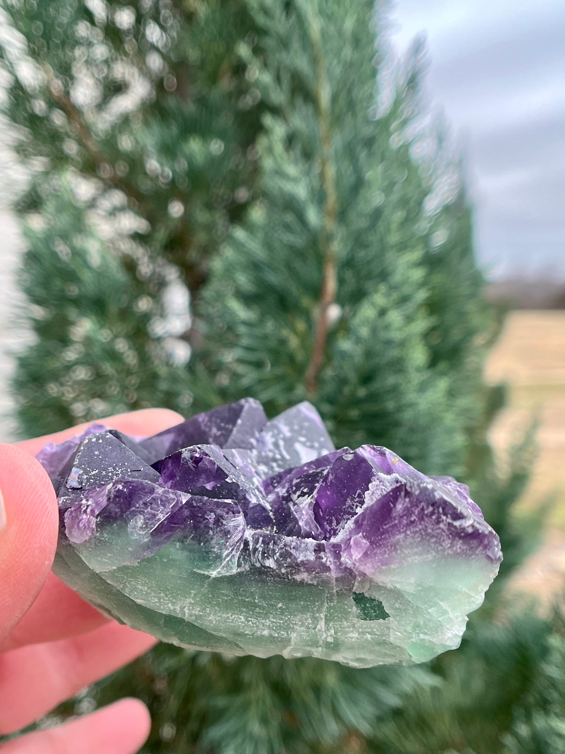Green & Purple Octahedral Fluorite Clusters From Zhejiang, China - Etsy