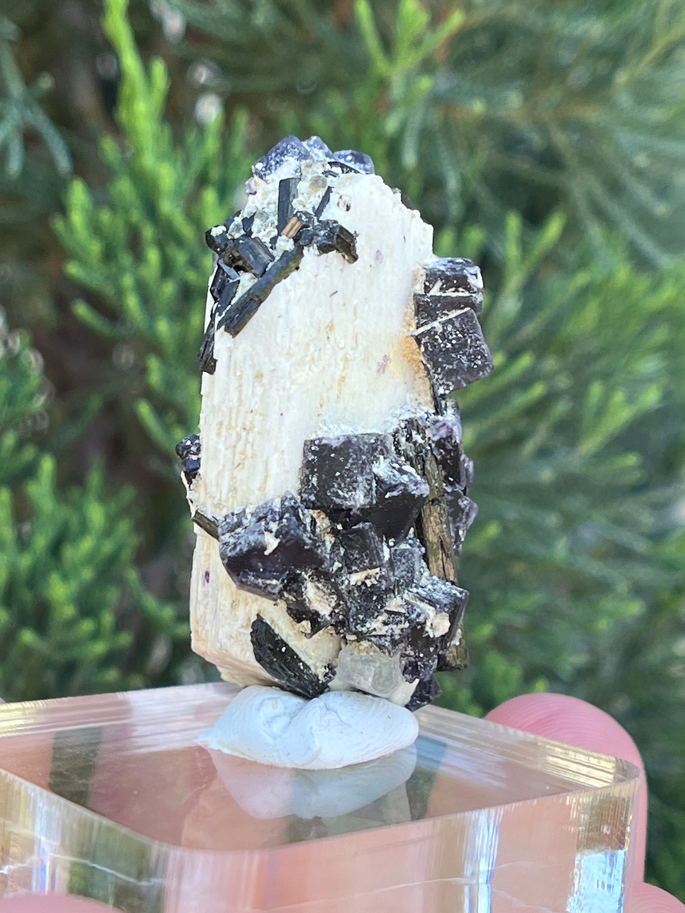 Namibian Purple & Green Fluorite on Feldspar From the Erongo Region - Etsy