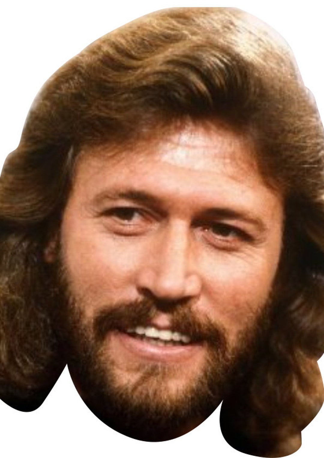 Bee Gees -barry Gibb Celebrity Fancy Dress Face Mask Hen Stag Party ...