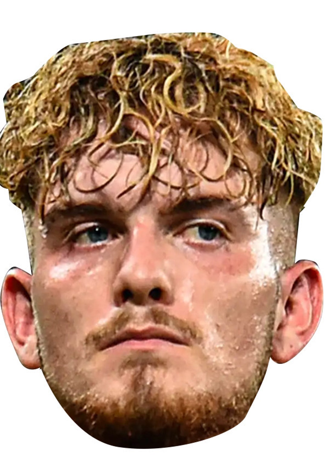 Harvey Elliott Celebrity Fancy Dress Face Mask Hen Stag Party Mask ...