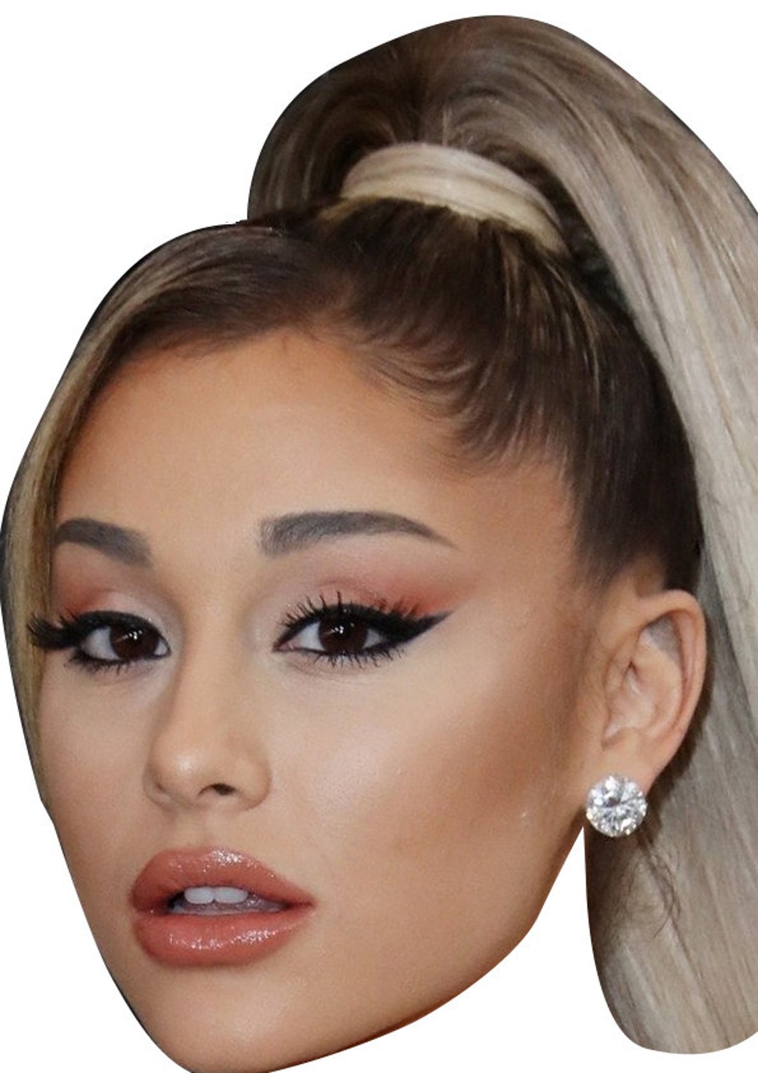 Ariana Grande Celebrity Fancy Dress Face Mask Hen Stag Party Mask ...
