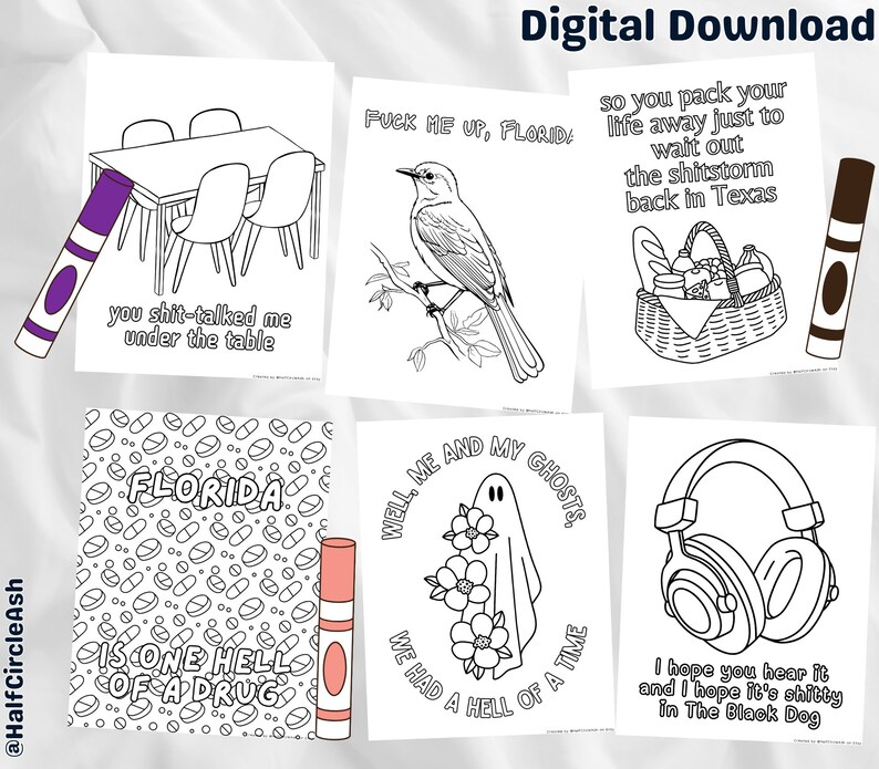 The Tortured Poets Department SWEAR WORD Adult Coloring Book Swiftie ...