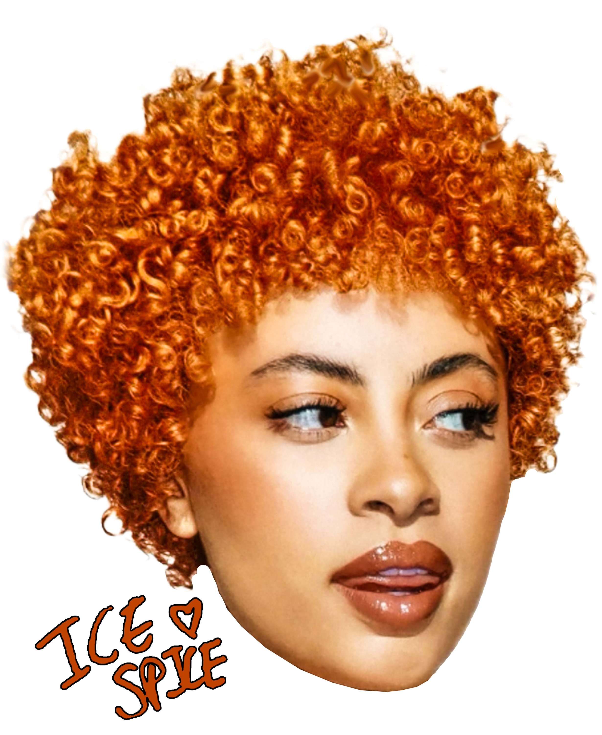 Ice Spice T Shirt Design PNG Instant Download 300 Dpi - Etsy