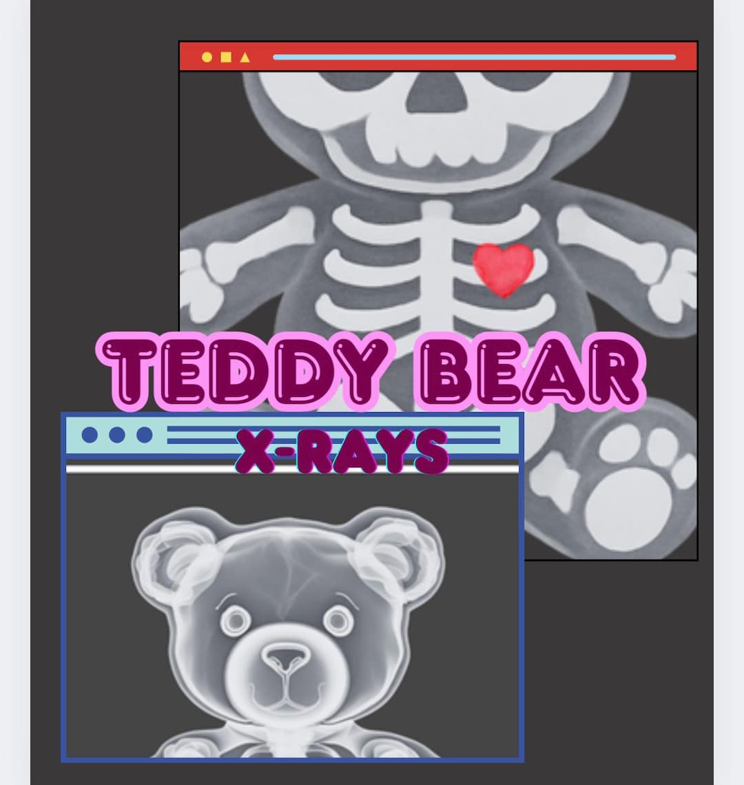 Teddy Bear X-rays - Etsy
