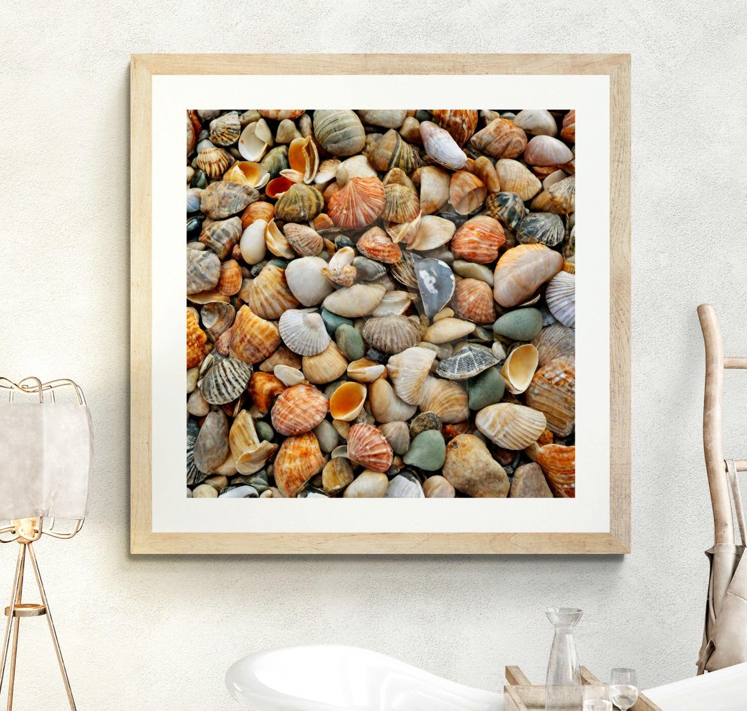Printable Photo Art ~ Sea Shell Tapestry ~ Ocean's Treasures ~ Digital ...