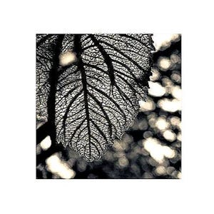 Printable Photo Art Calligraphy Leaf Digital Download - Etsy