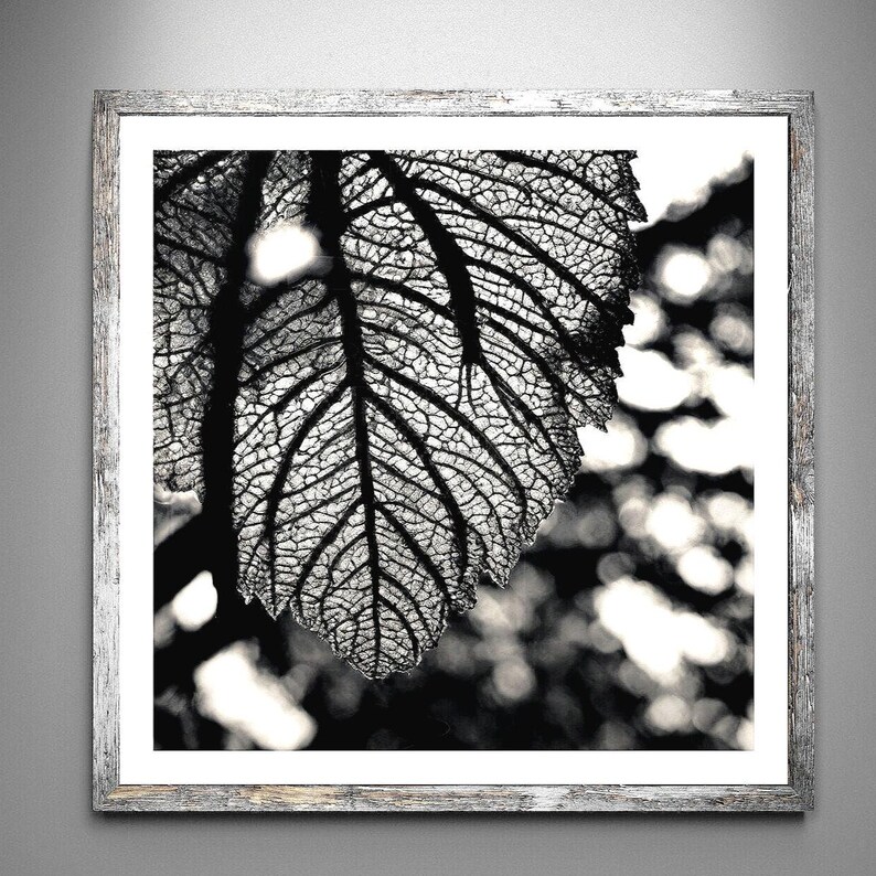 Printable Photo Art ~ Calligraphy Leaf ~ Digital Download - Etsy