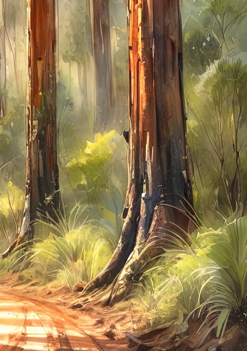 Karri Forest Wall Art – Western Australia Landscape Canvas | Nature ...