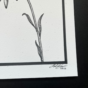 Daisy Floral Print From Original Drawing in Black and White With Modern ...