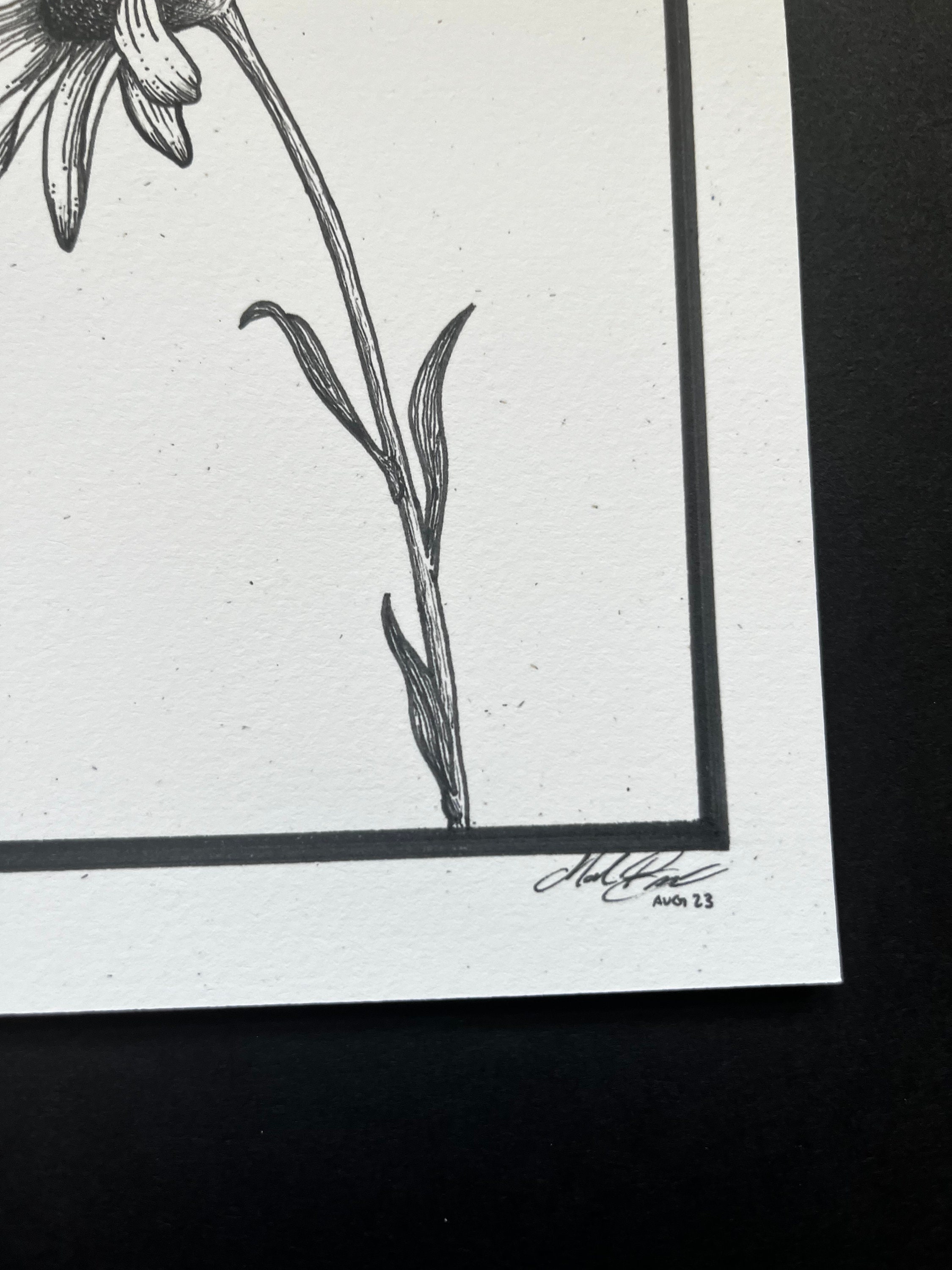 Daisy Floral Print From Original Drawing in Black and White With Modern ...