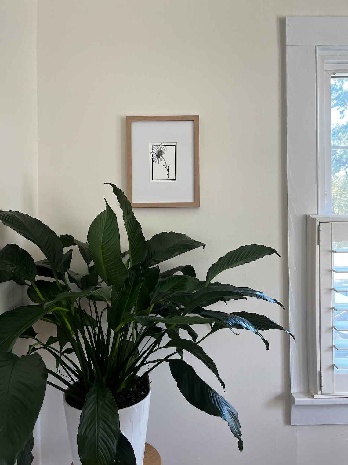 Daisy Floral Print From Original Drawing in Black and White With Modern ...