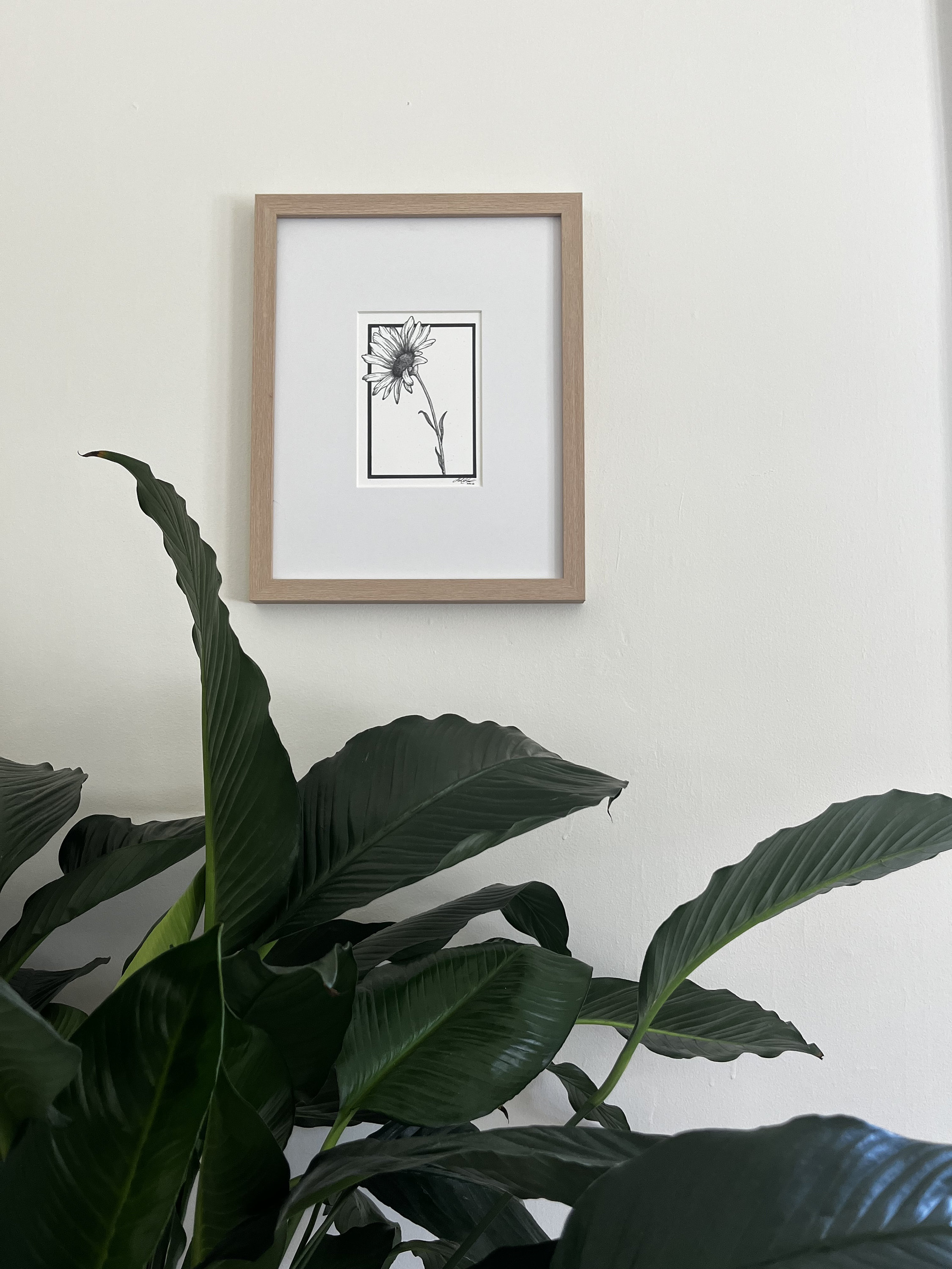 Daisy Floral Print From Original Drawing in Black and White With Modern ...