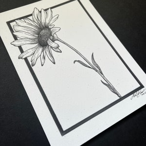 Daisy Floral Print From Original Drawing in Black and White With Modern ...