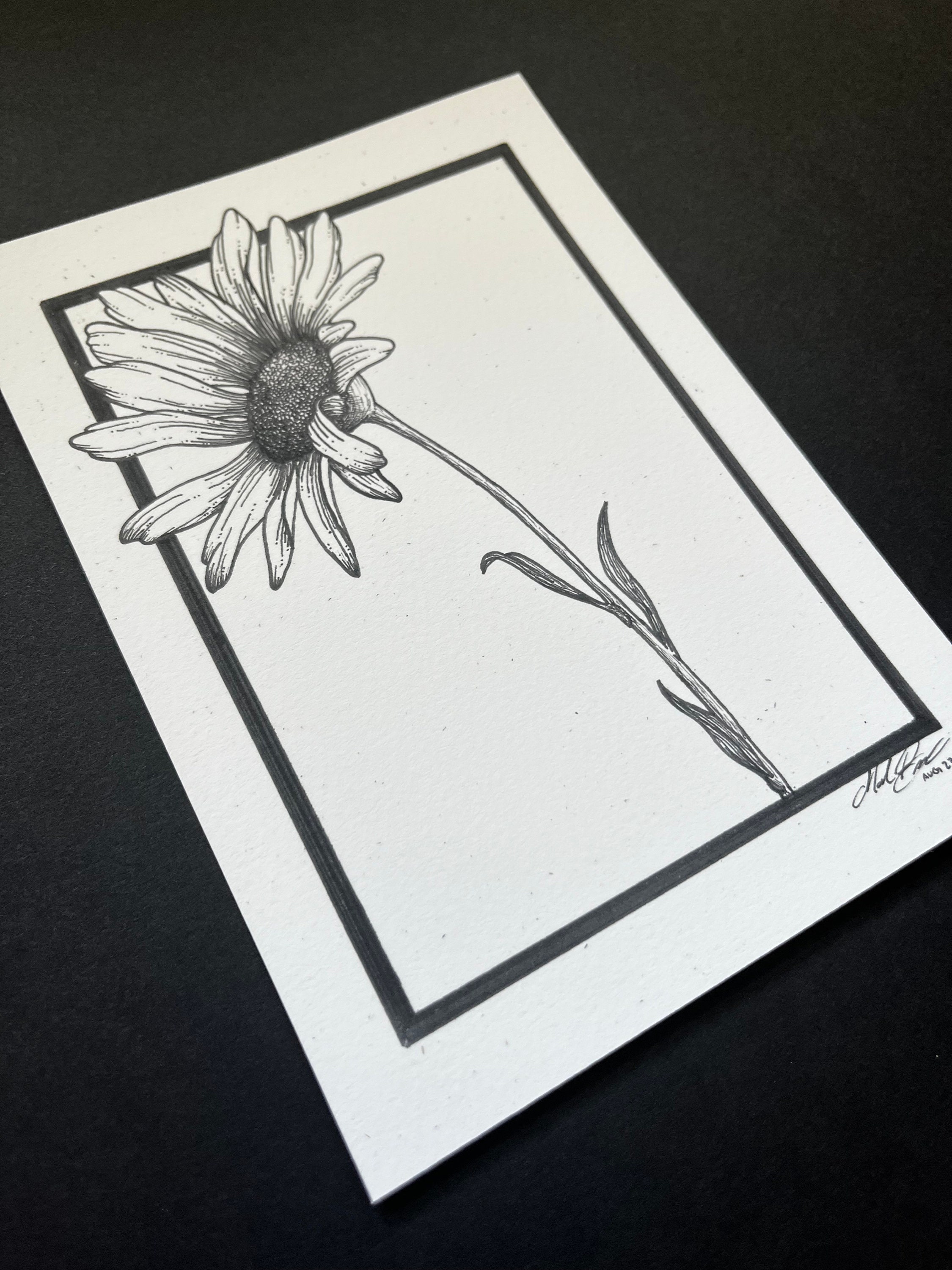 Daisy Floral Print From Original Drawing in Black and White With Modern ...