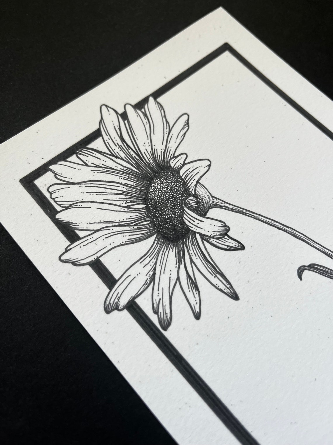 Daisy Floral Print From Original Drawing in Black and White With Modern ...