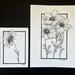 Daisy Floral Print From Original Drawing in Black and White With Modern ...