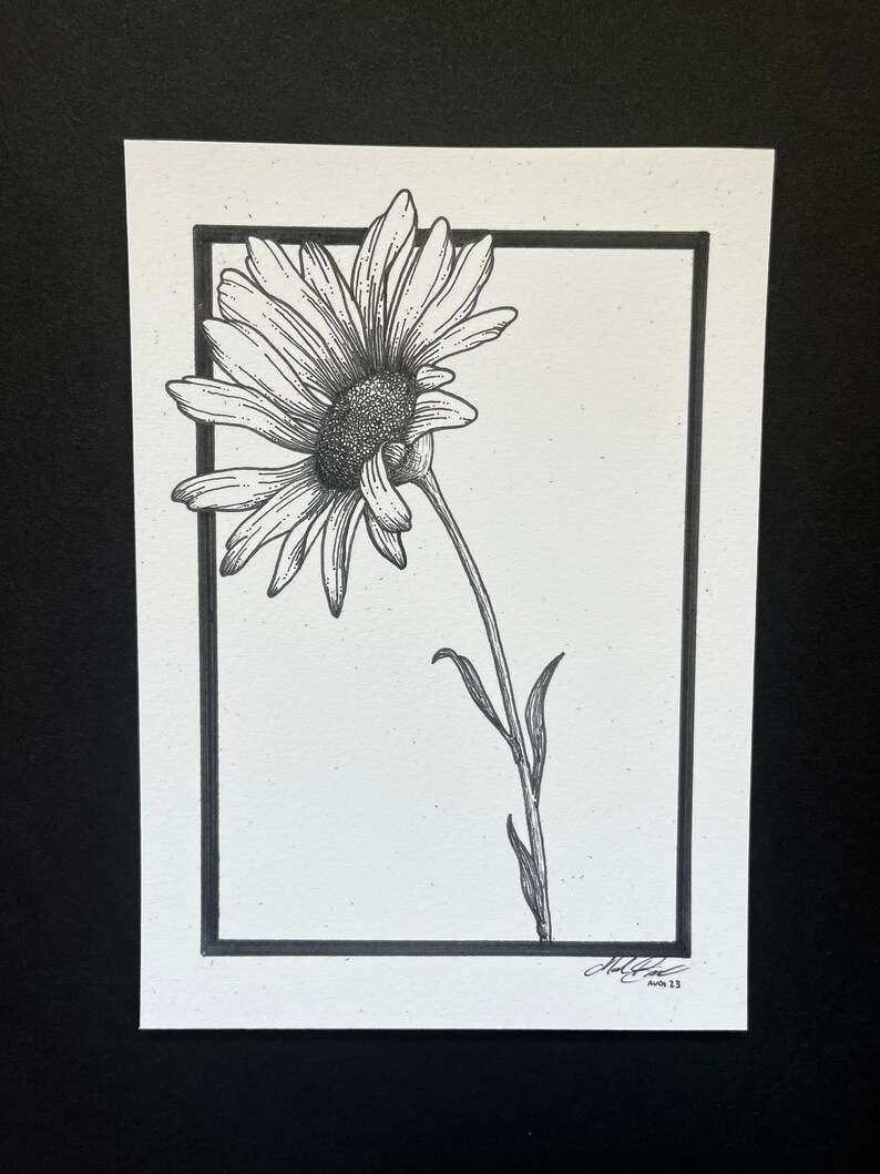 Daisy Floral Print From Original Drawing in Black and White With Modern ...